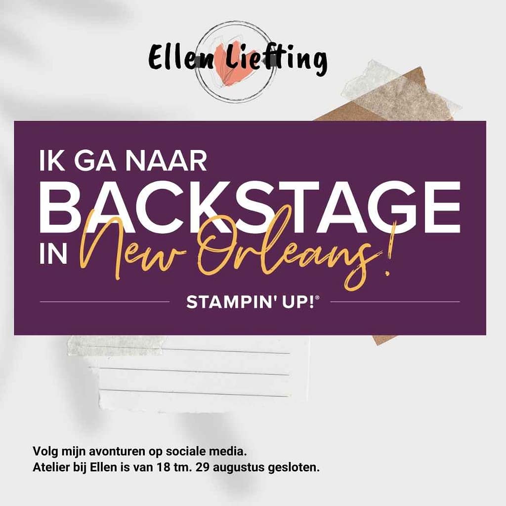 Een project casen in de stempelschatten bloghop - Ellen Liefting